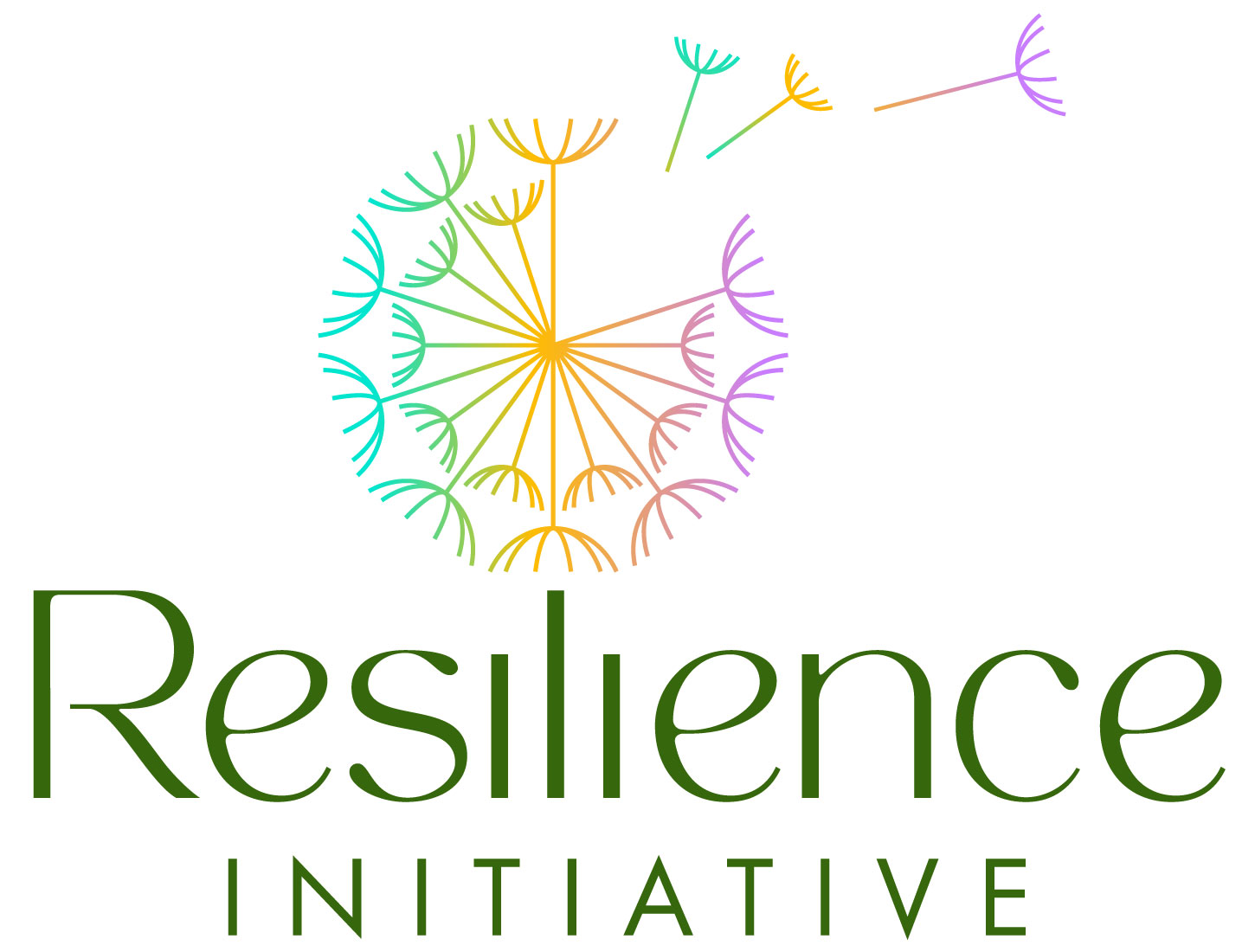 Brand - Resilience Initiative